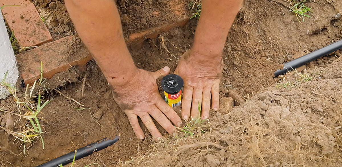 The best irrigation tips and tricks for your garden – Gardening with Pope
