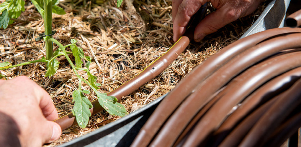 Pope Irrigation. Laid Easy. – Gardening with Pope