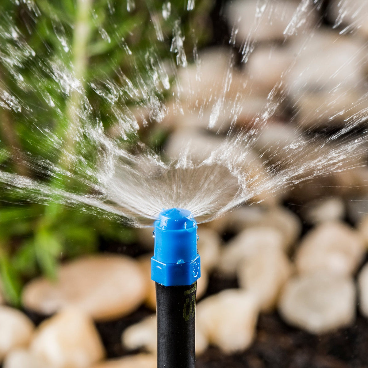 Jets and Sprays – Gardening with Pope