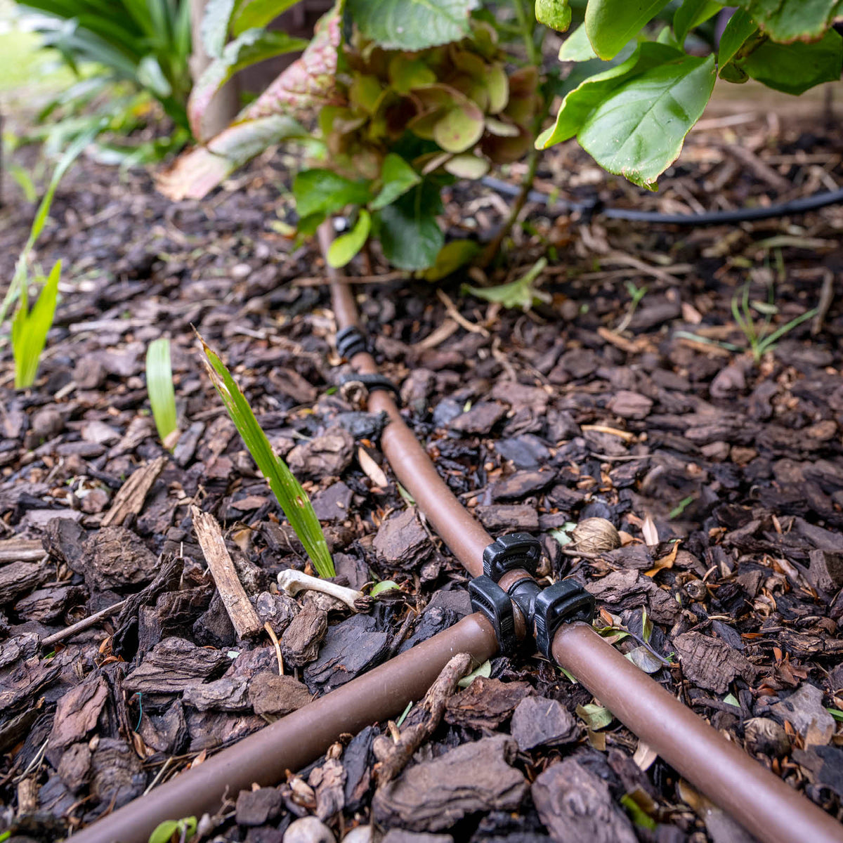 Irrigation – Gardening with Pope