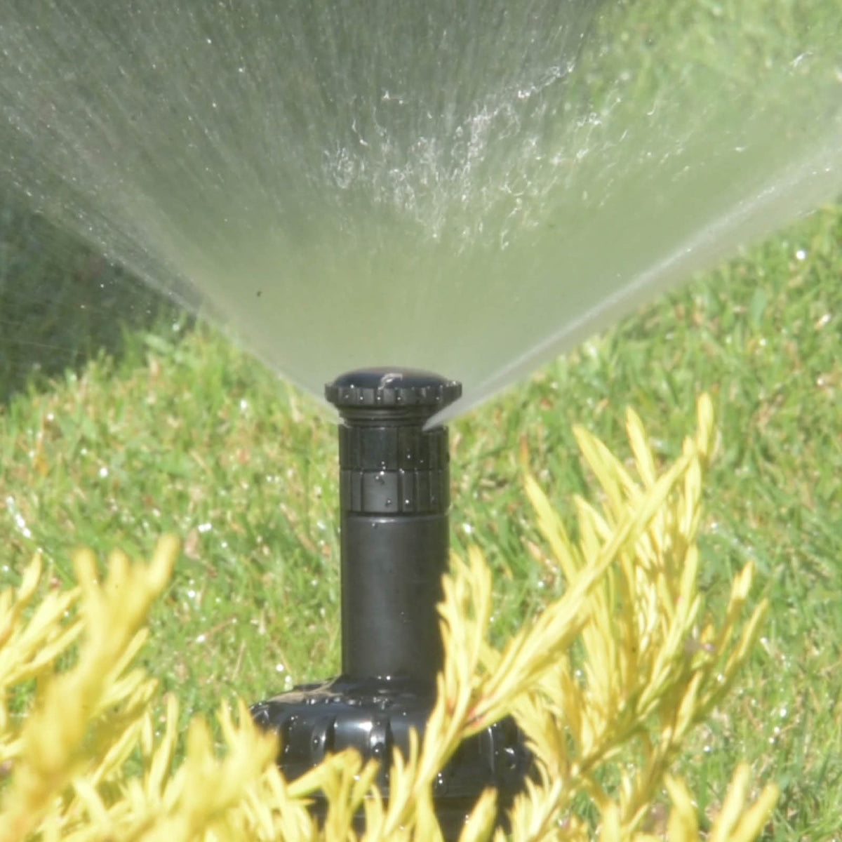 50mm Precision Pop-up Sprinkler with Variable Arc Nozzle – Gardening ...