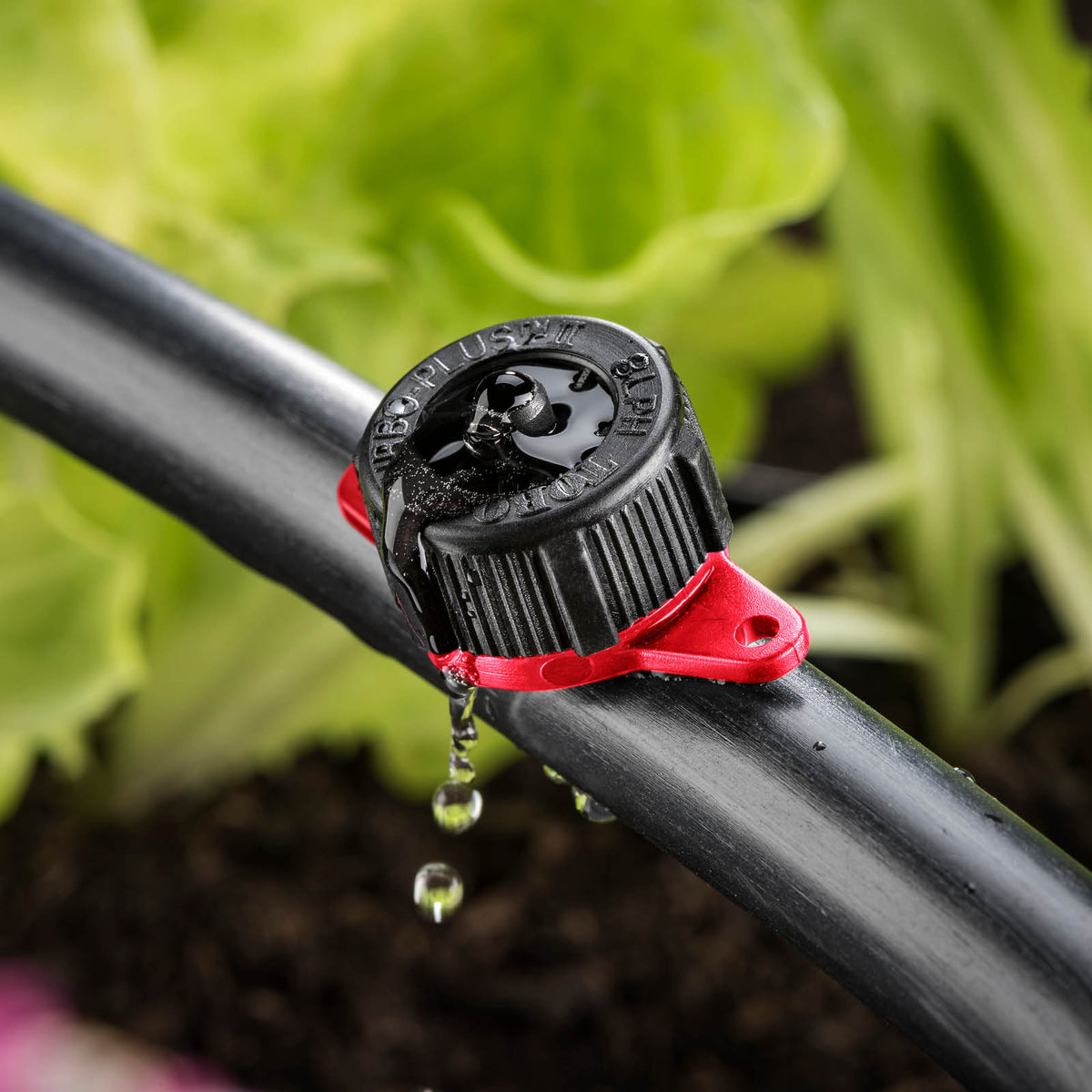 Irrigation – Gardening with Pope