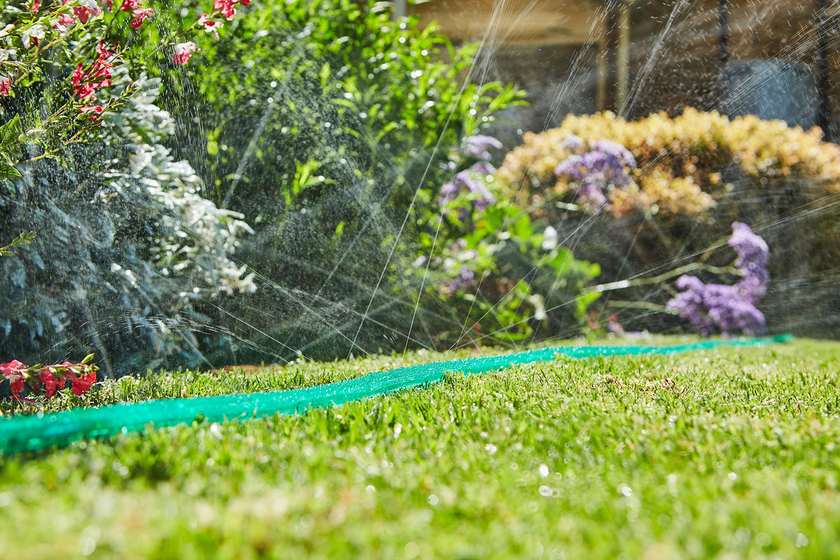 Ideas & Advice – tagged "Watering Tips" – Gardening with Pope